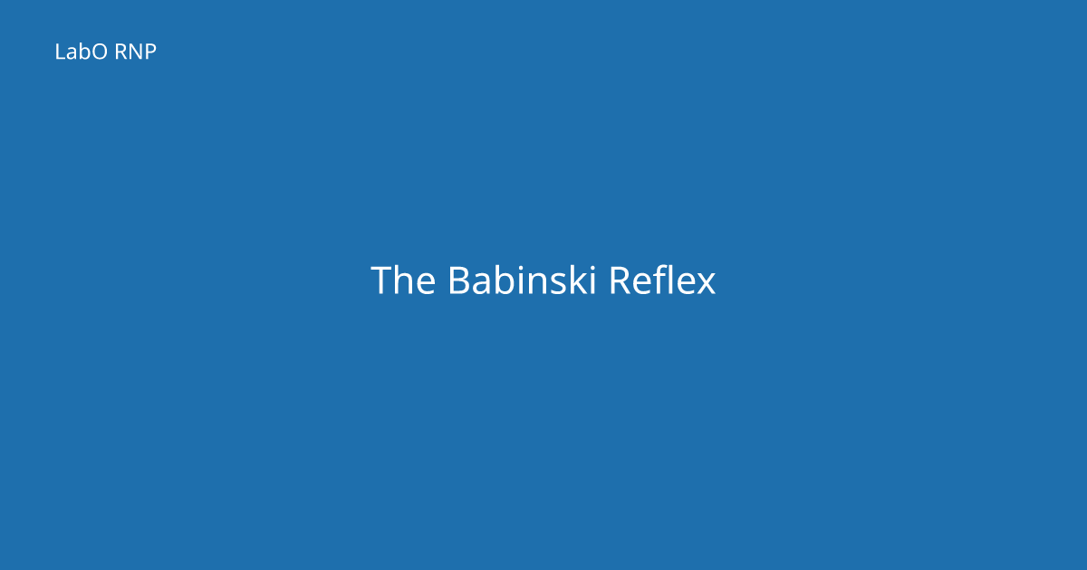 Understanding the Babinski Reflex: Key Insights | LabO RNP