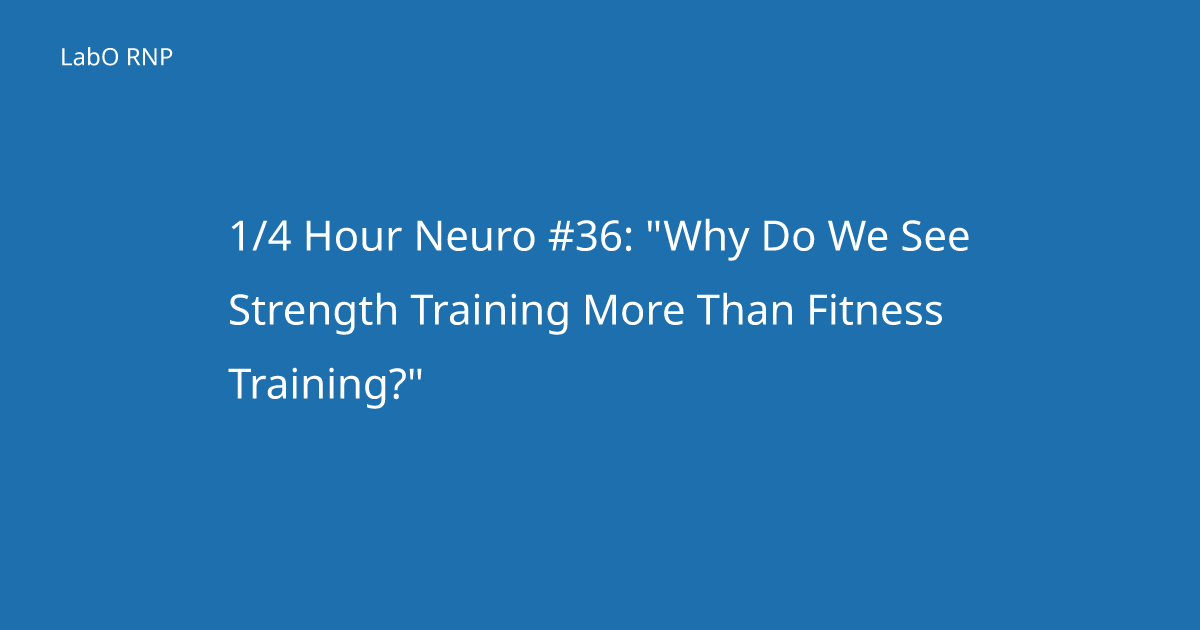 Why Do We See Strength Training More Than Fitness Training? | LabO RNP