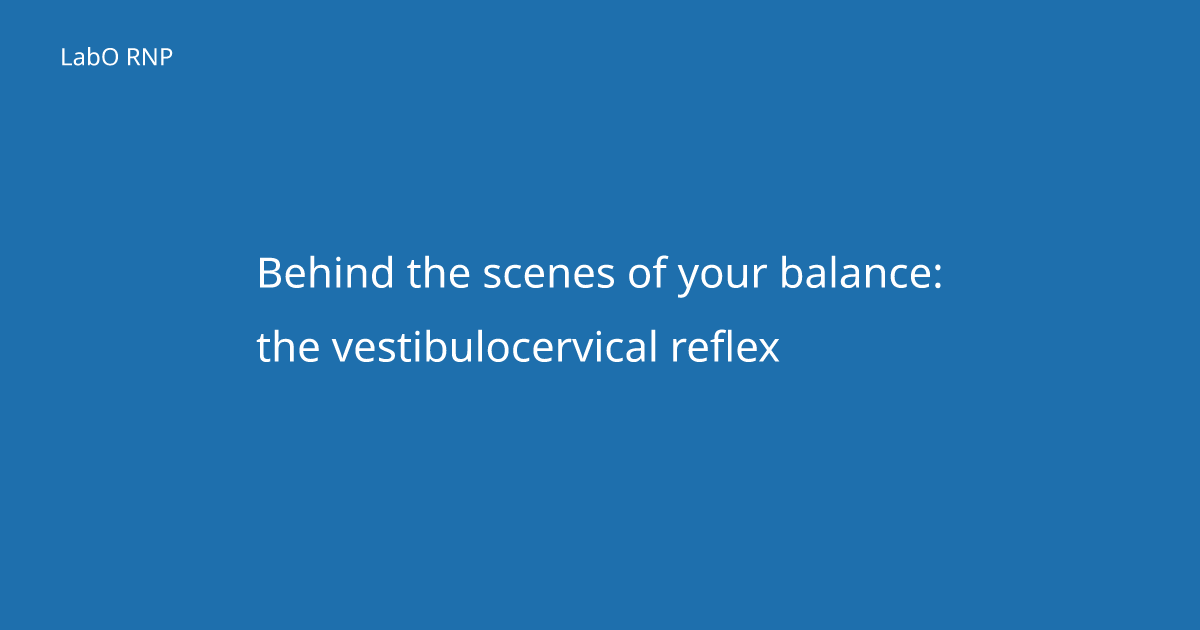 Vestibulocervical reflex: your key to balance | LabO RNP