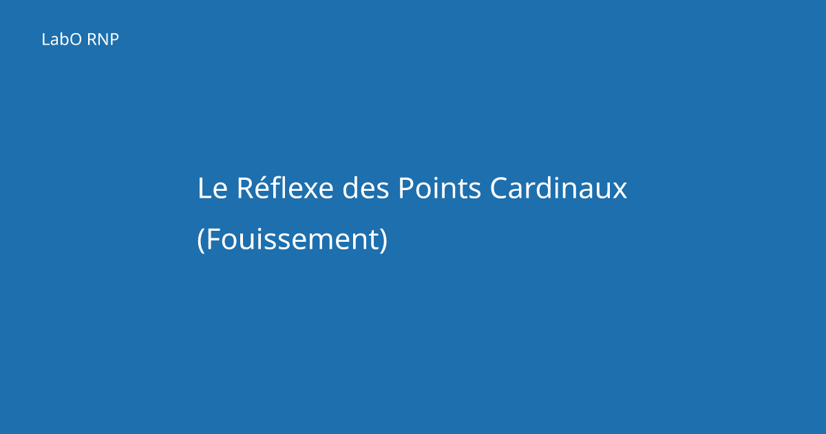 Le Réflexe des Points Cardinaux : Guide et Conseils | LabO RNP