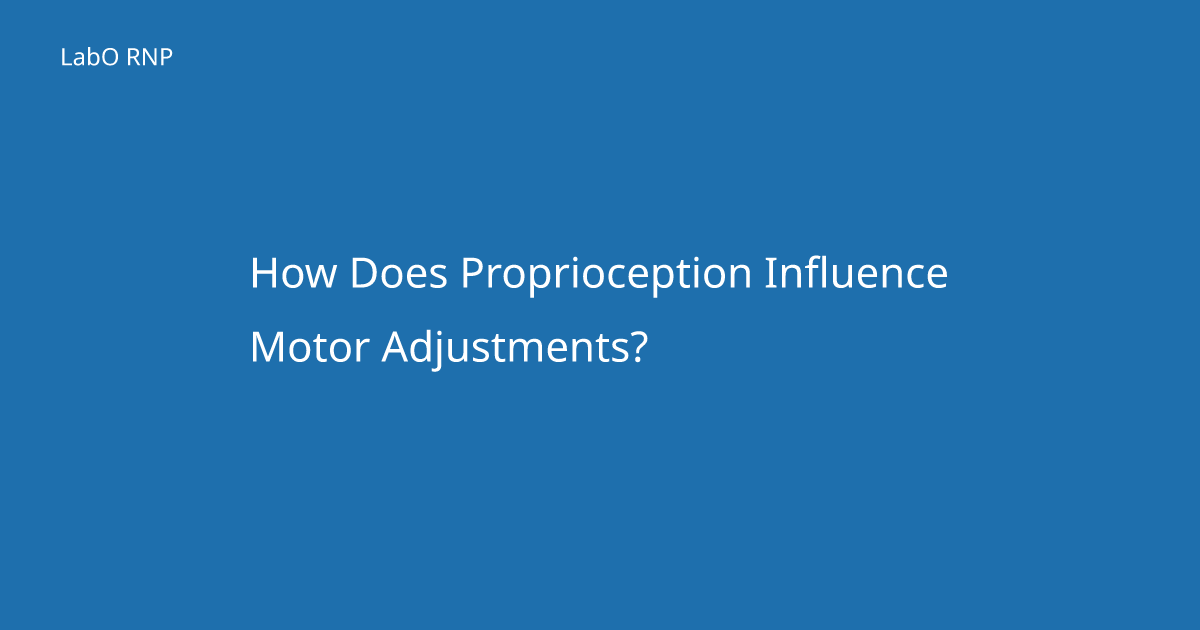 Proprioception: Key to Your Motor Adjustments | LabO RNP