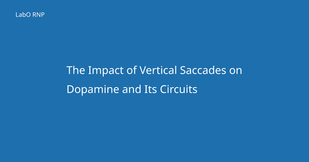 Vertical Saccades: Impact on Dopamine and Cognition | LabO RNP