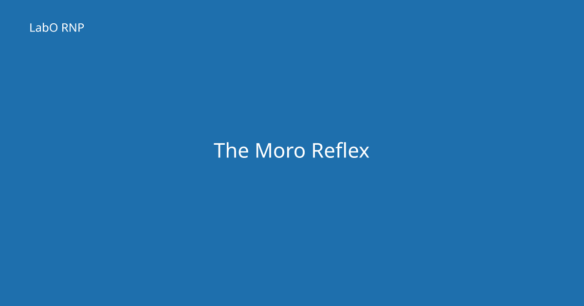 Understanding the Moro Reflex: Baby's Protective Response | LabO RNP