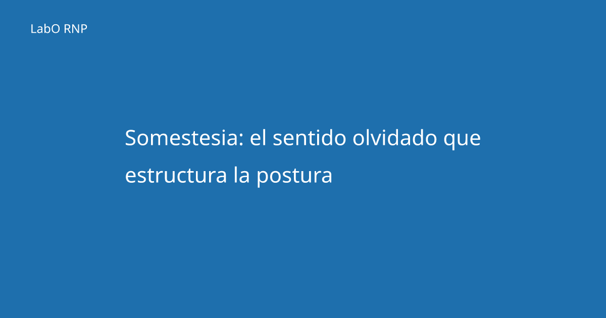 Somestesia: el sentido olvidado que estructura la postura | LabO RNP